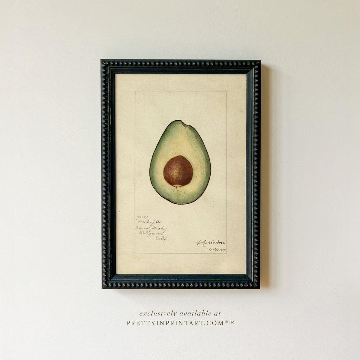 Vintage Avocado Art Prints | Framed or Unframed Artwork For Home