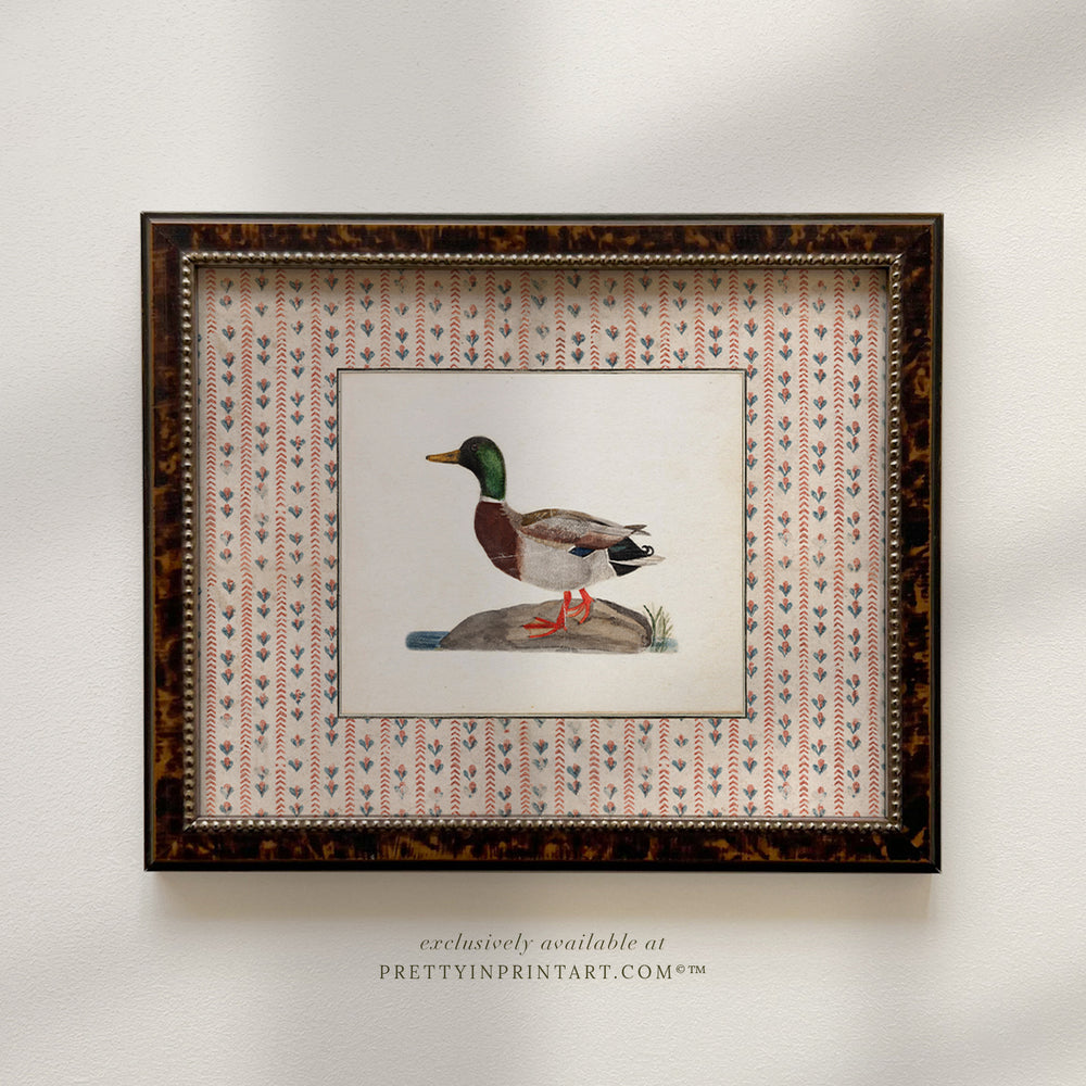 Set of 4 Framed Vintage Duck Prints – Rustic Art for Kitchen or Dining