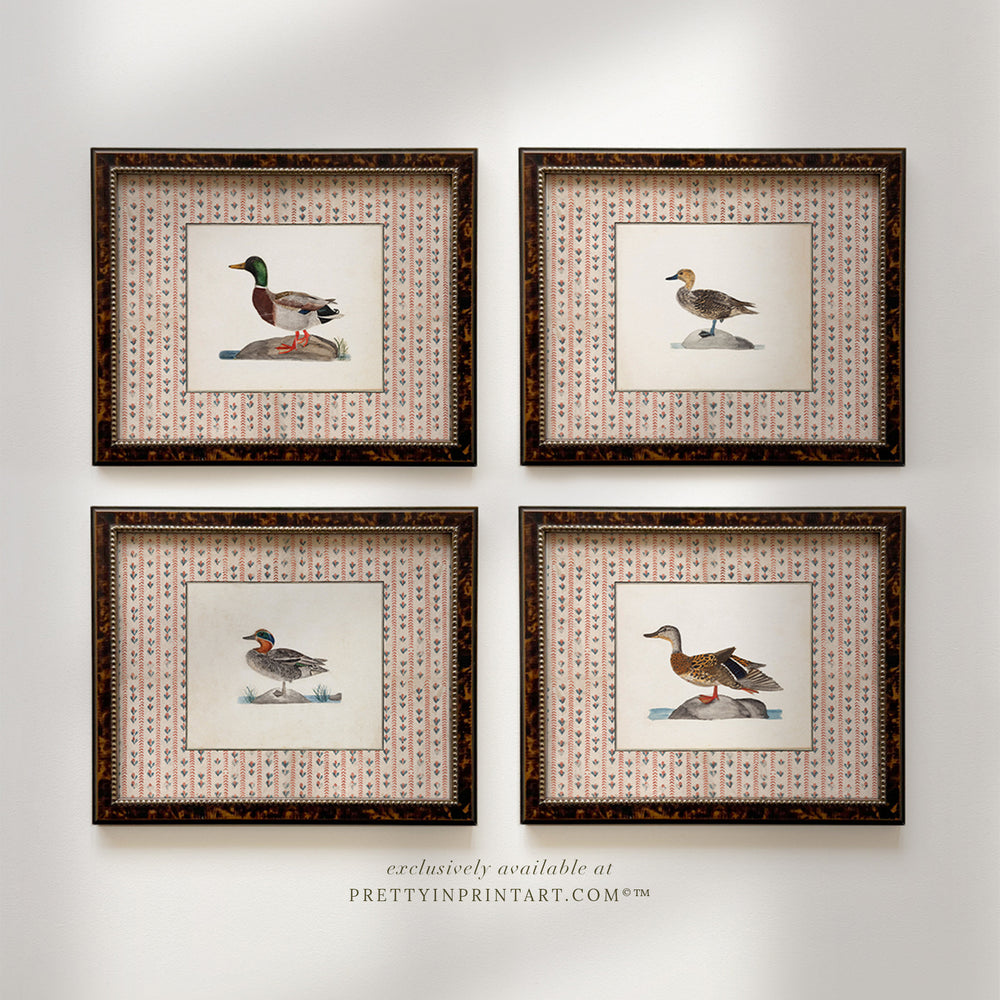 Set of 4 Framed Vintage Duck Prints – Rustic Art for Kitchen or Dining