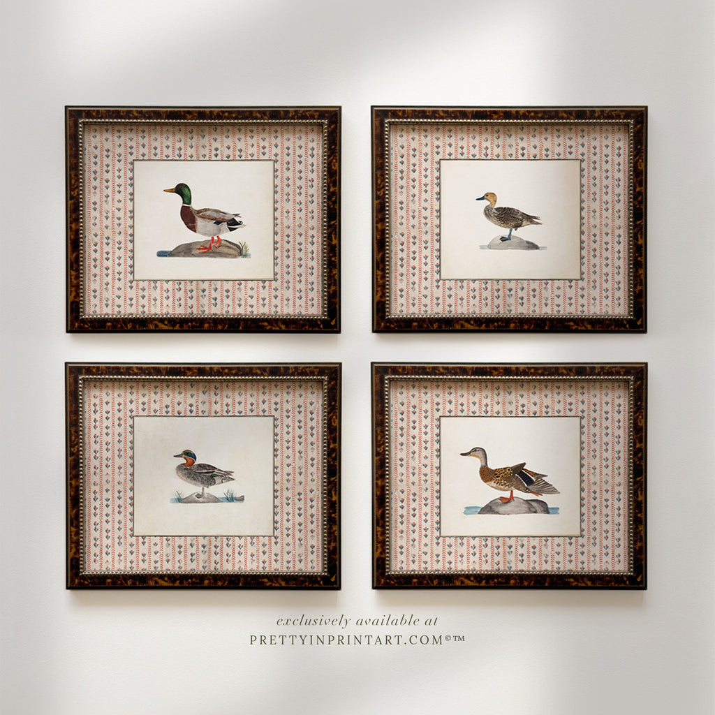 Set of Four Vintage Ducks, Framed 001 (BRN-TOR-2124) – Pretty in Print ...
