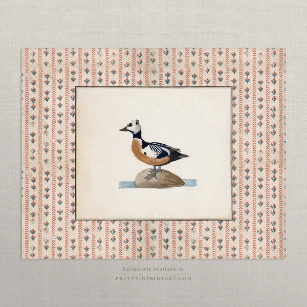 Vintage Duck Art – Pretty in Print Art Ltd
