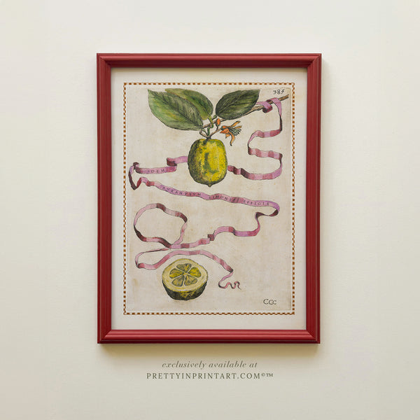 Vintage Fruit Wall Art Prints | Botanical Kitchen & Dining Room Décor