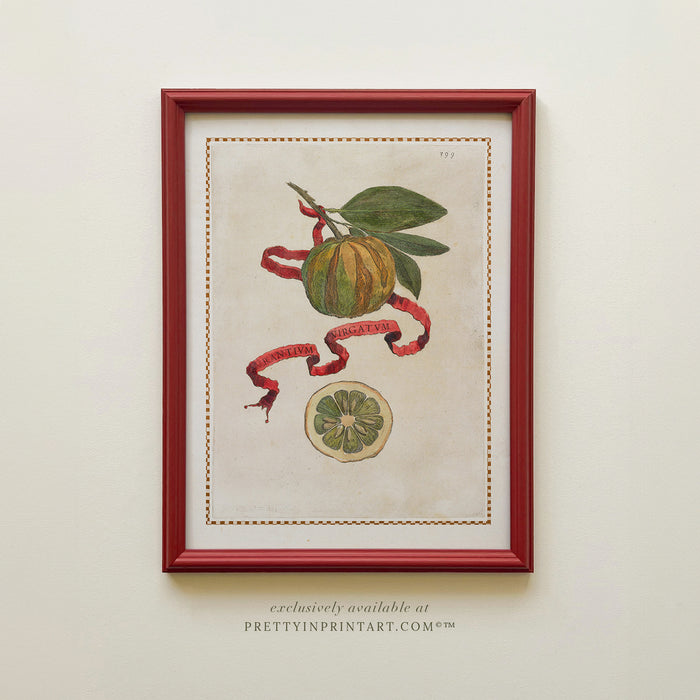 Vintage Fruit Wall Art Prints | Botanical Kitchen & Dining Room Décor