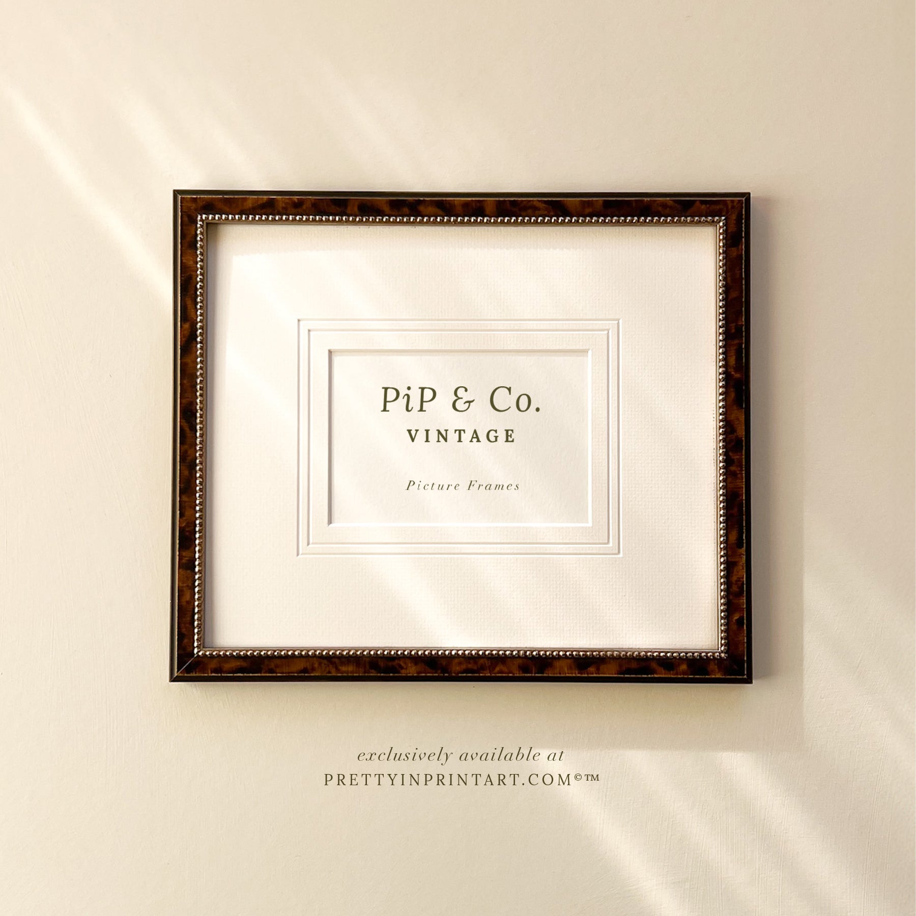 Tortoise Style Vintage Frame (BRN-TOR-2124) | Mount 004