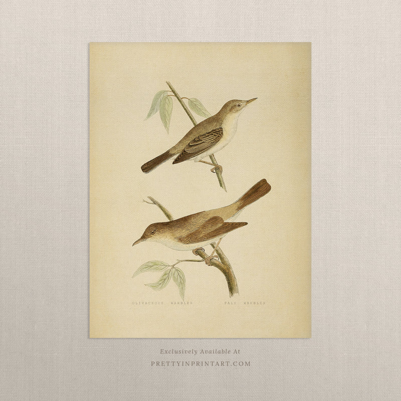 Vintage Kitchen Art Prints – Framed Wall Art for Traditional & Cottage ...