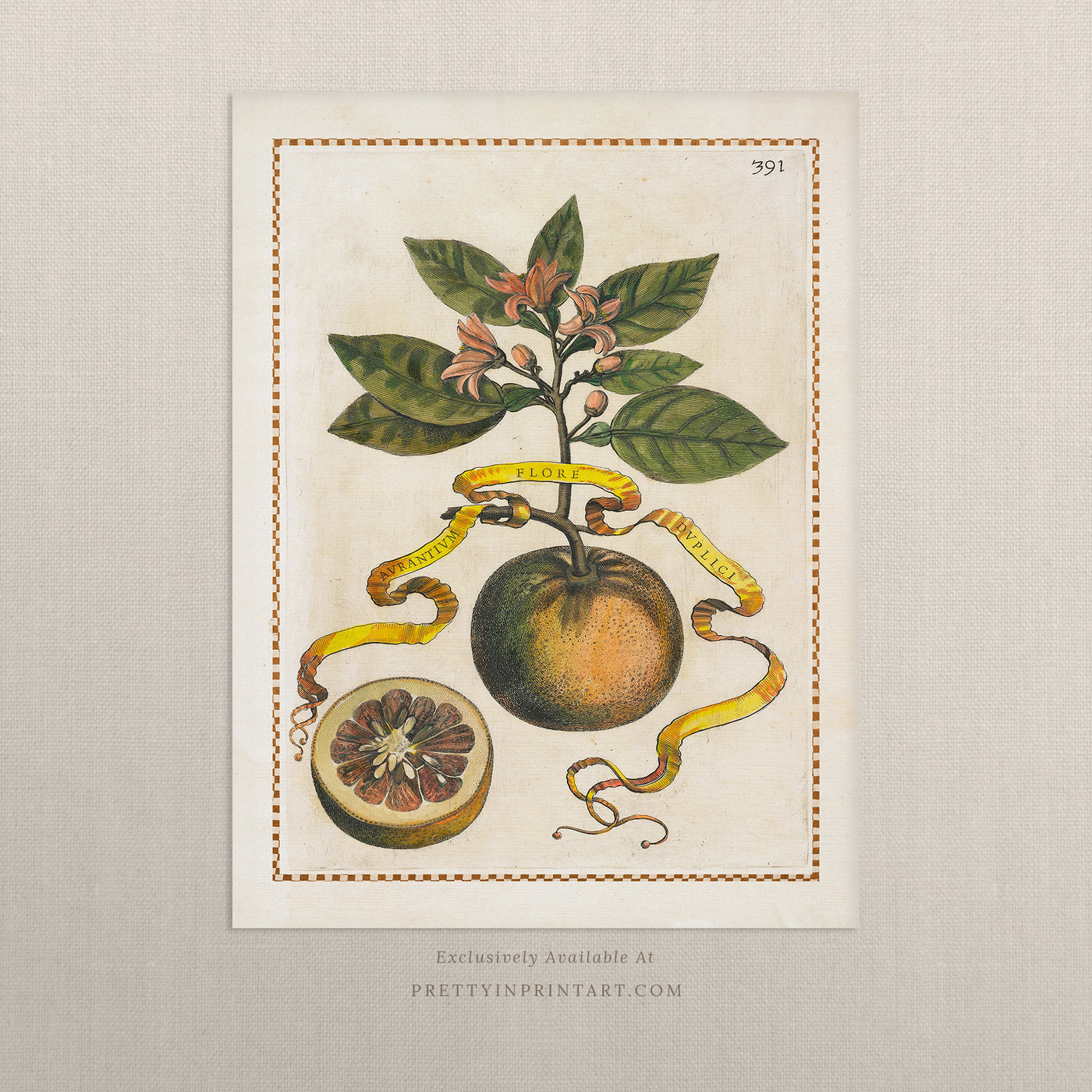 Vintage Fruit Wall Art Prints | Botanical Kitchen & Dining Room Décor