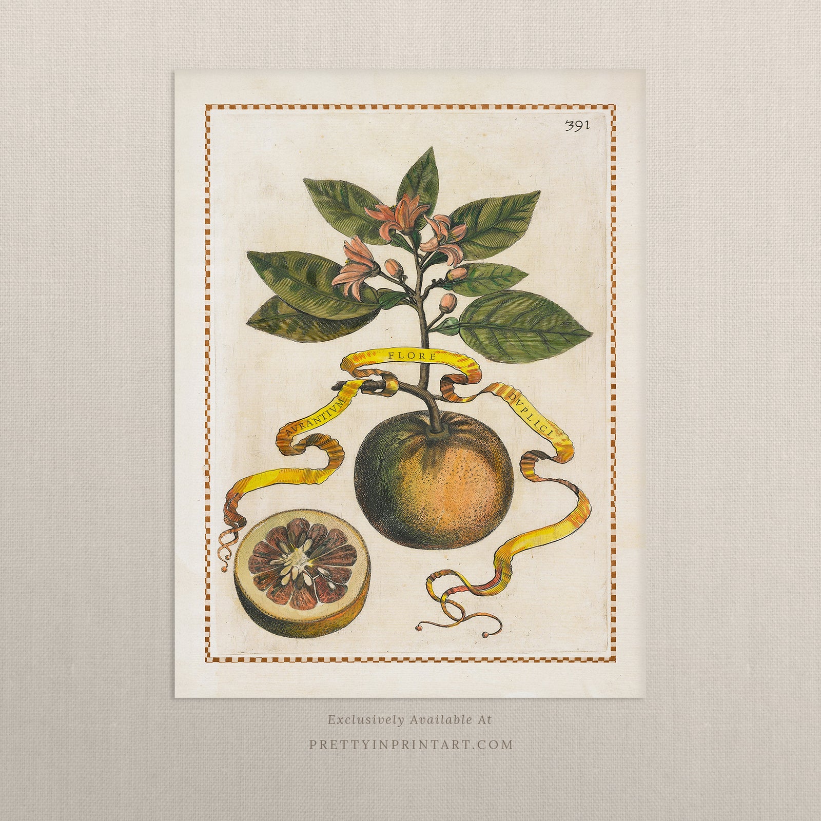 Vintage Fruit Wall Art Prints | Botanical Kitchen & Dining Room Décor