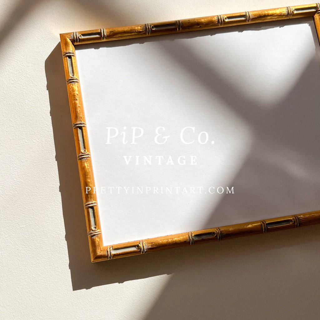 Gold Bamboo Style Vintage Frame (GLD-BAM-4246) – Pretty in Print Art Ltd