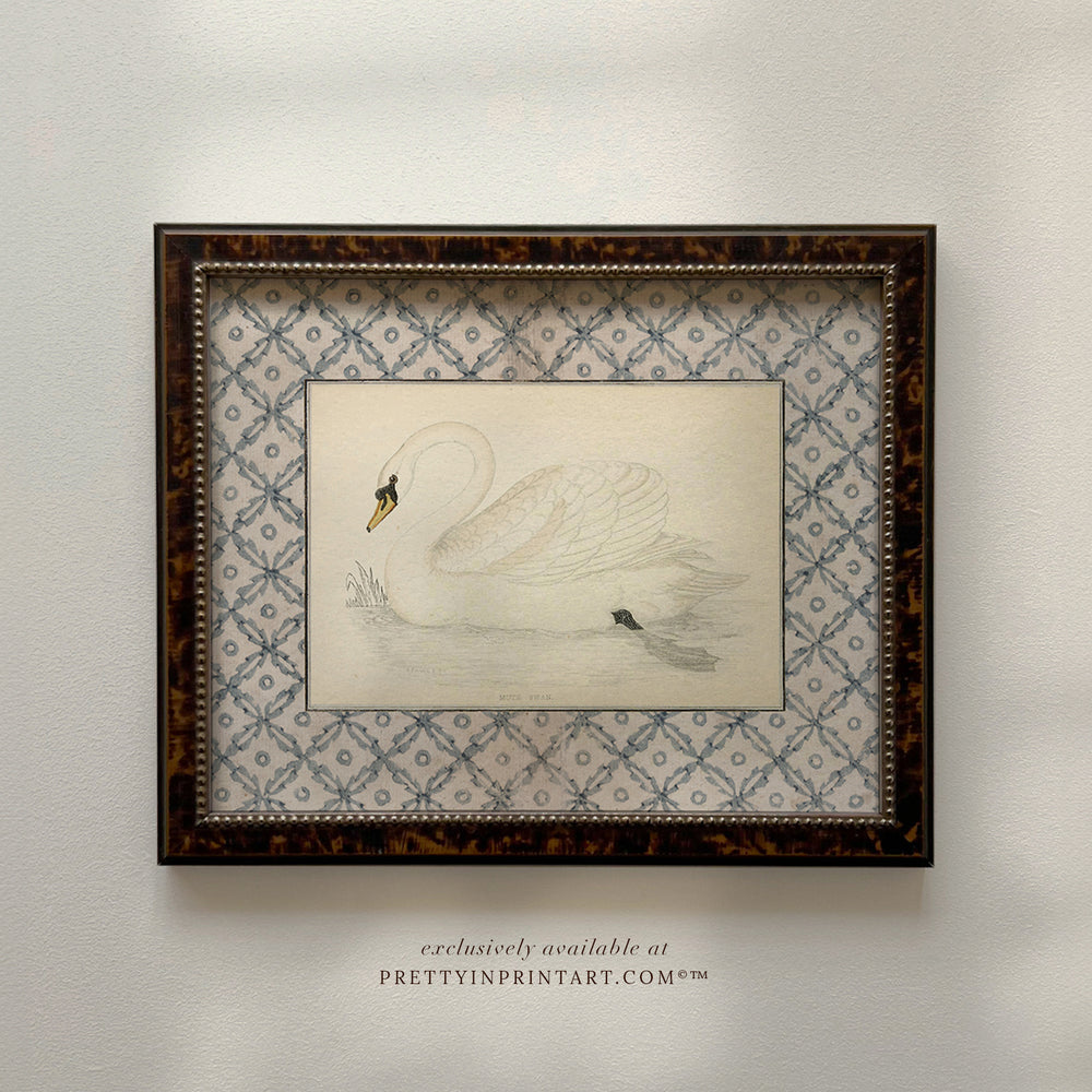 Framed Vintage Swan Art Print – Antique Nursery Wall Art in Tortoise ...