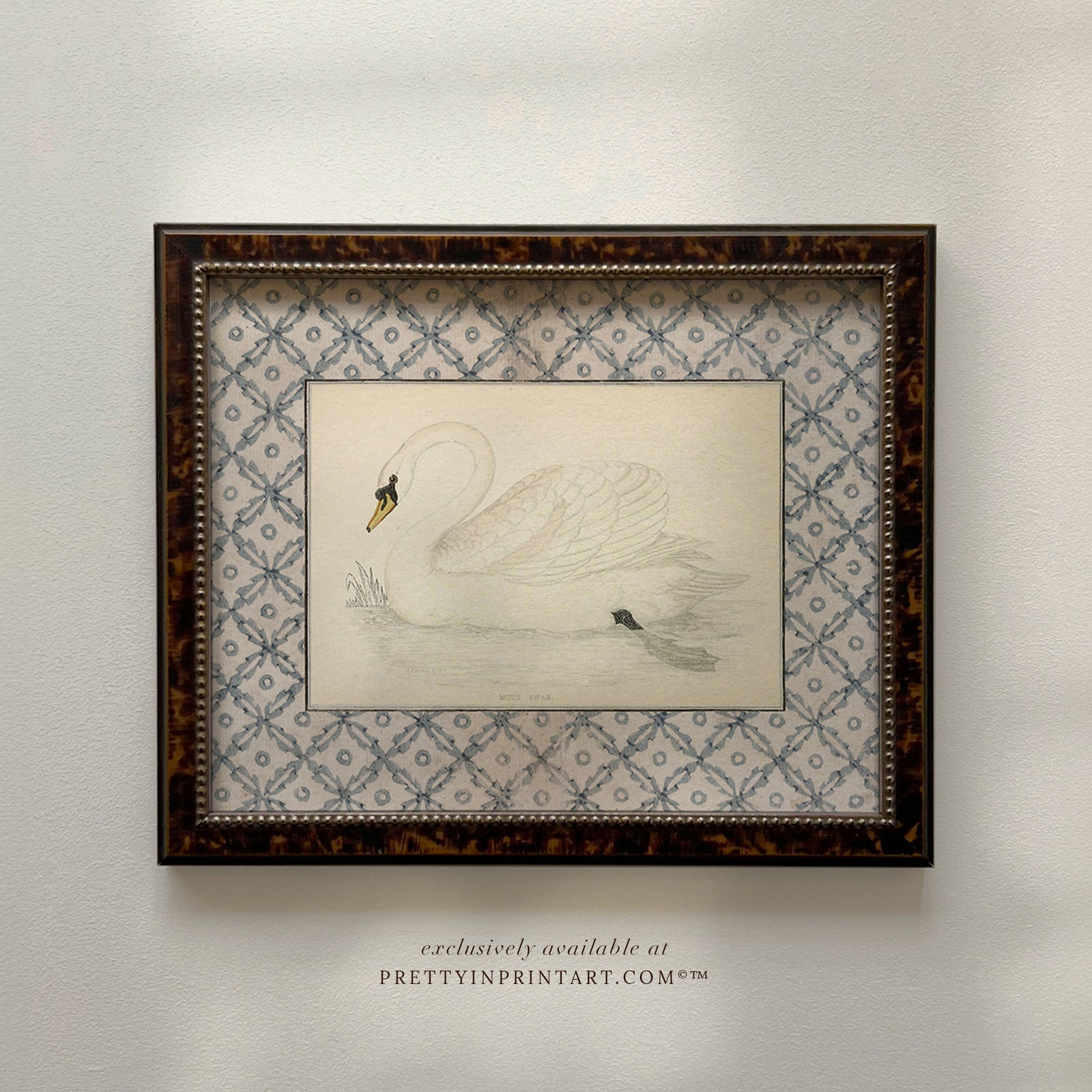 Swan Prints