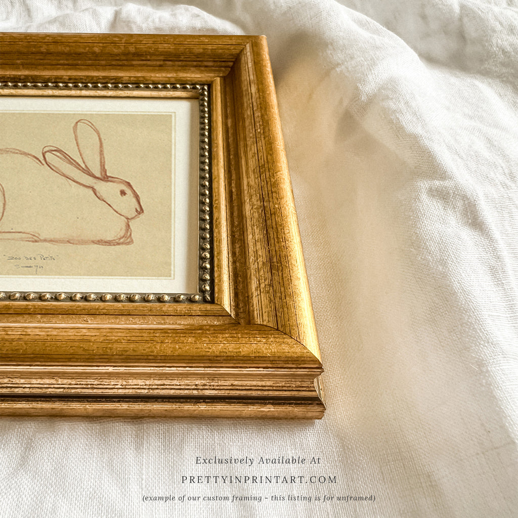 Bunny Rabbit Sketch, 00586 | Unframed – Pretty in Print Art Ltd