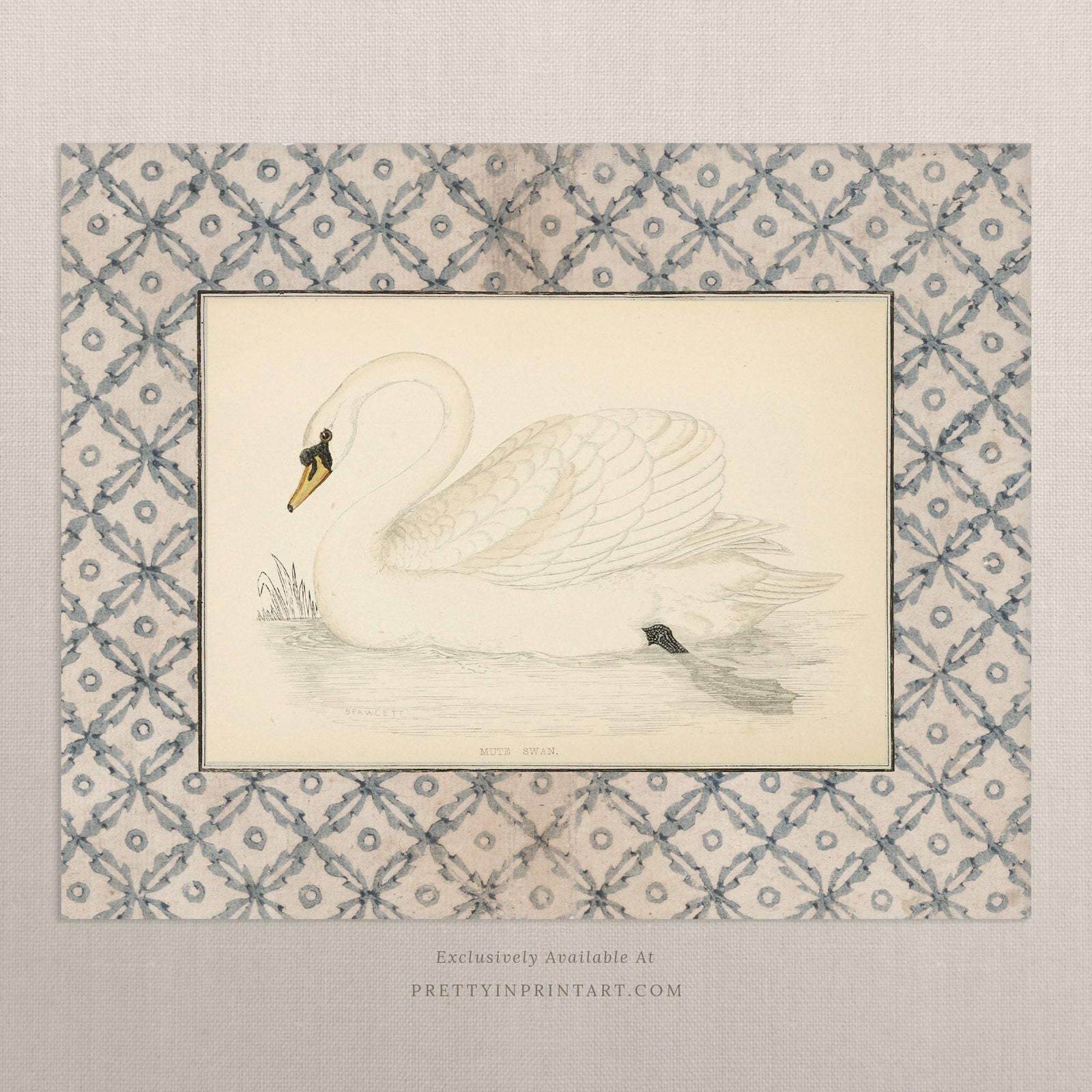 Swan Prints